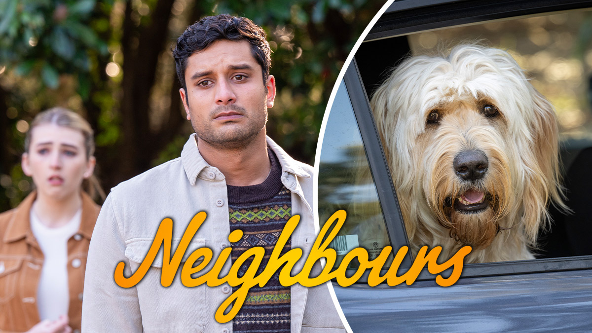 Neighbours Spoilers – New stories and photos for mid-to-late January ...